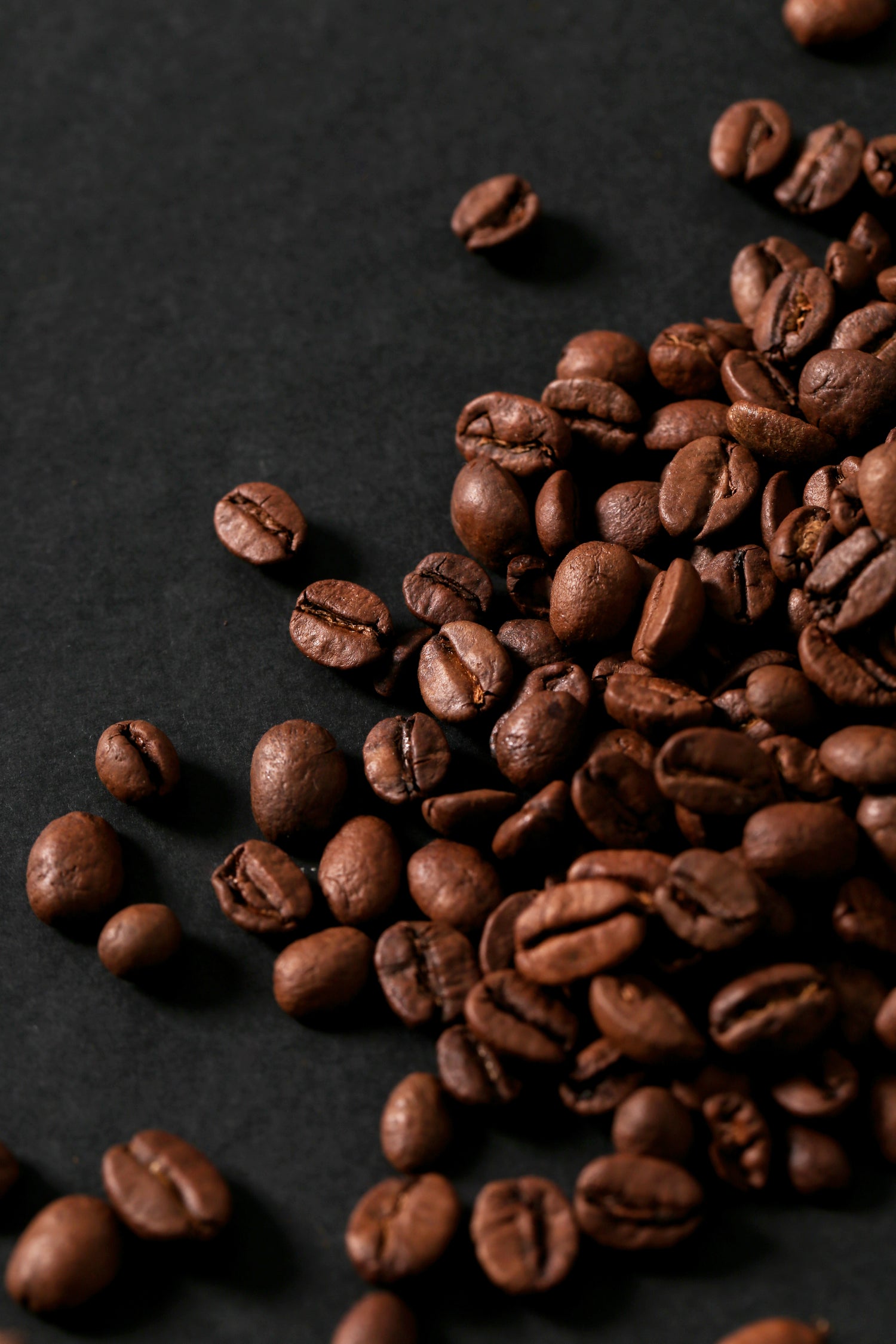 Collections – Tropical Bear Coffee